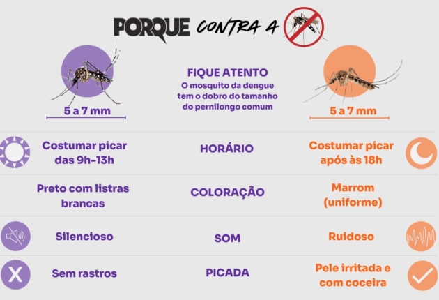 Saiba como diferenciar o mosquito da dengue do pernilongo