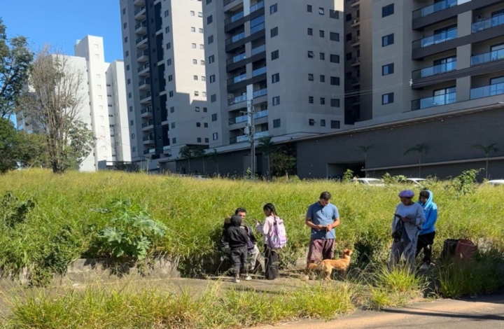 Após 25 anos no local, famílias são despejadas em ação de reintegração ...
